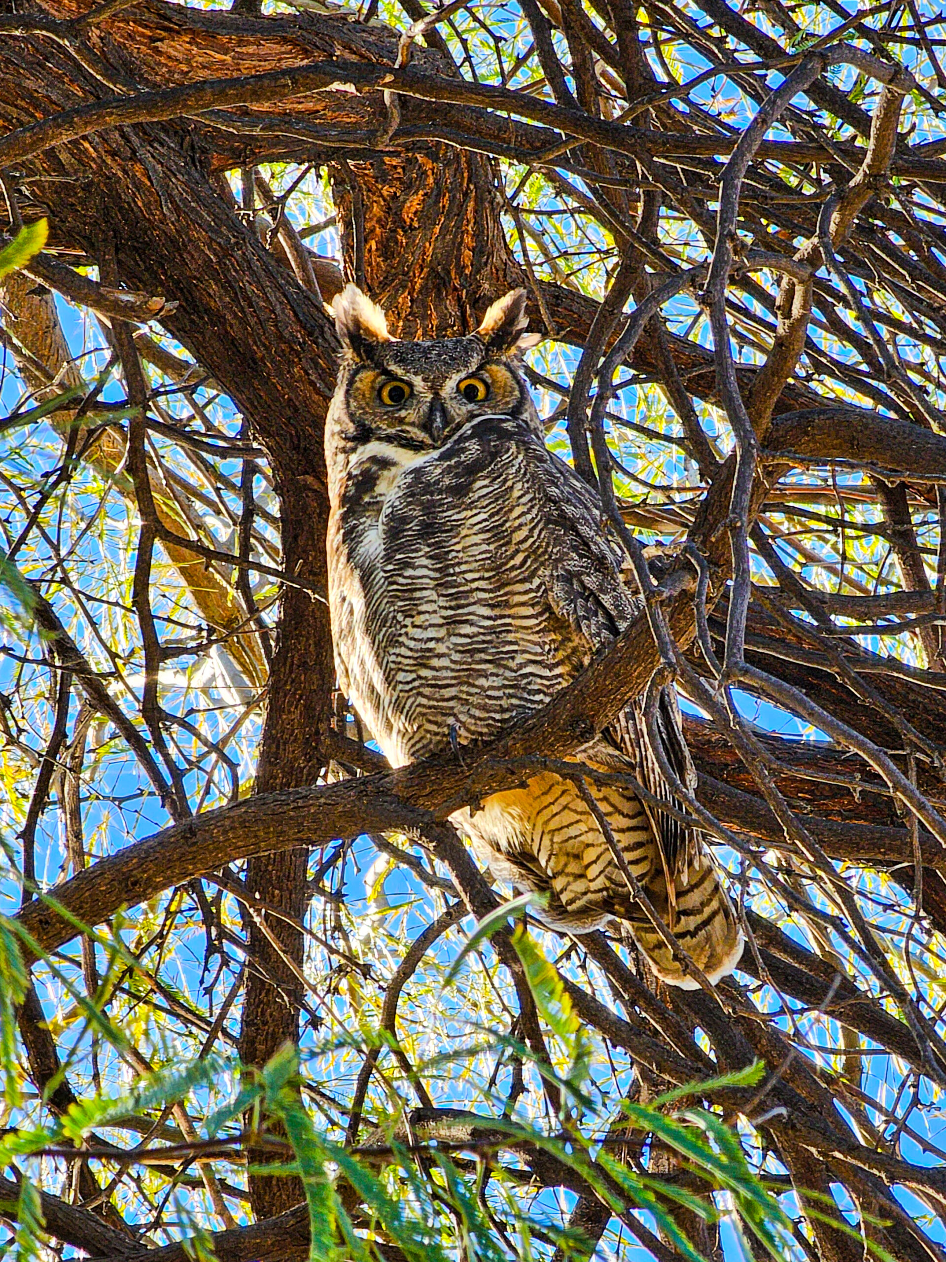 Miraval Arizona: Review – JoePro Travel